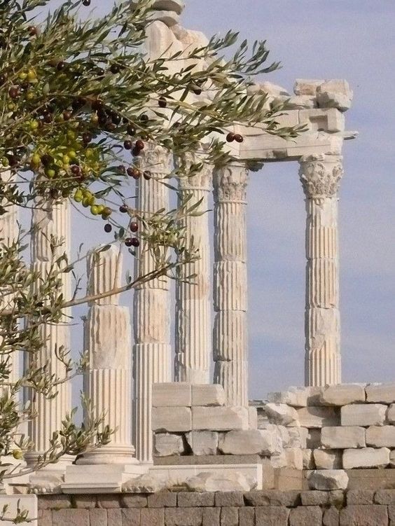 Greek Inspired Collection | Flaire & Co.